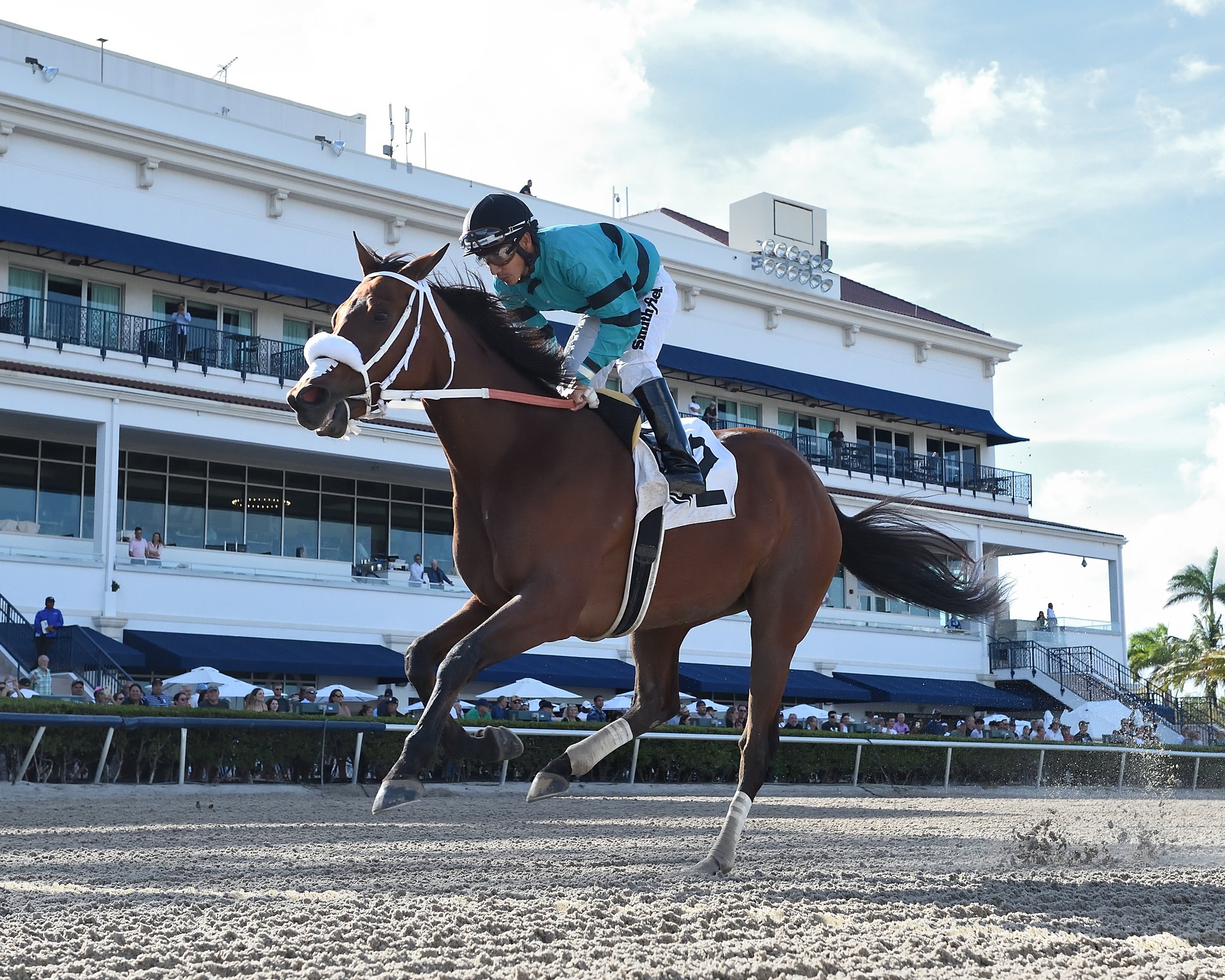 Beth's Dream, con autoridad