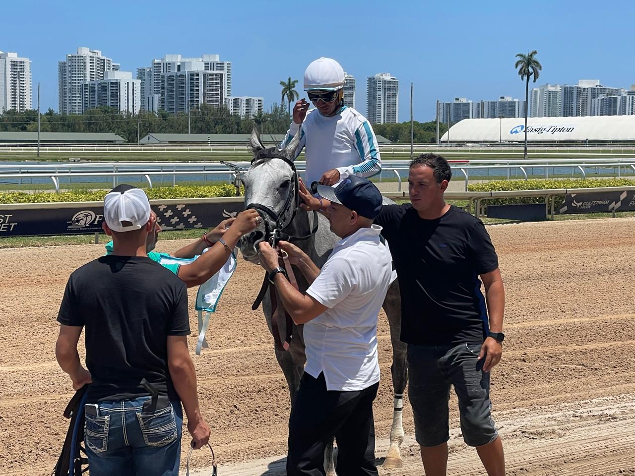 Grey Princess con un desarrollo ideal