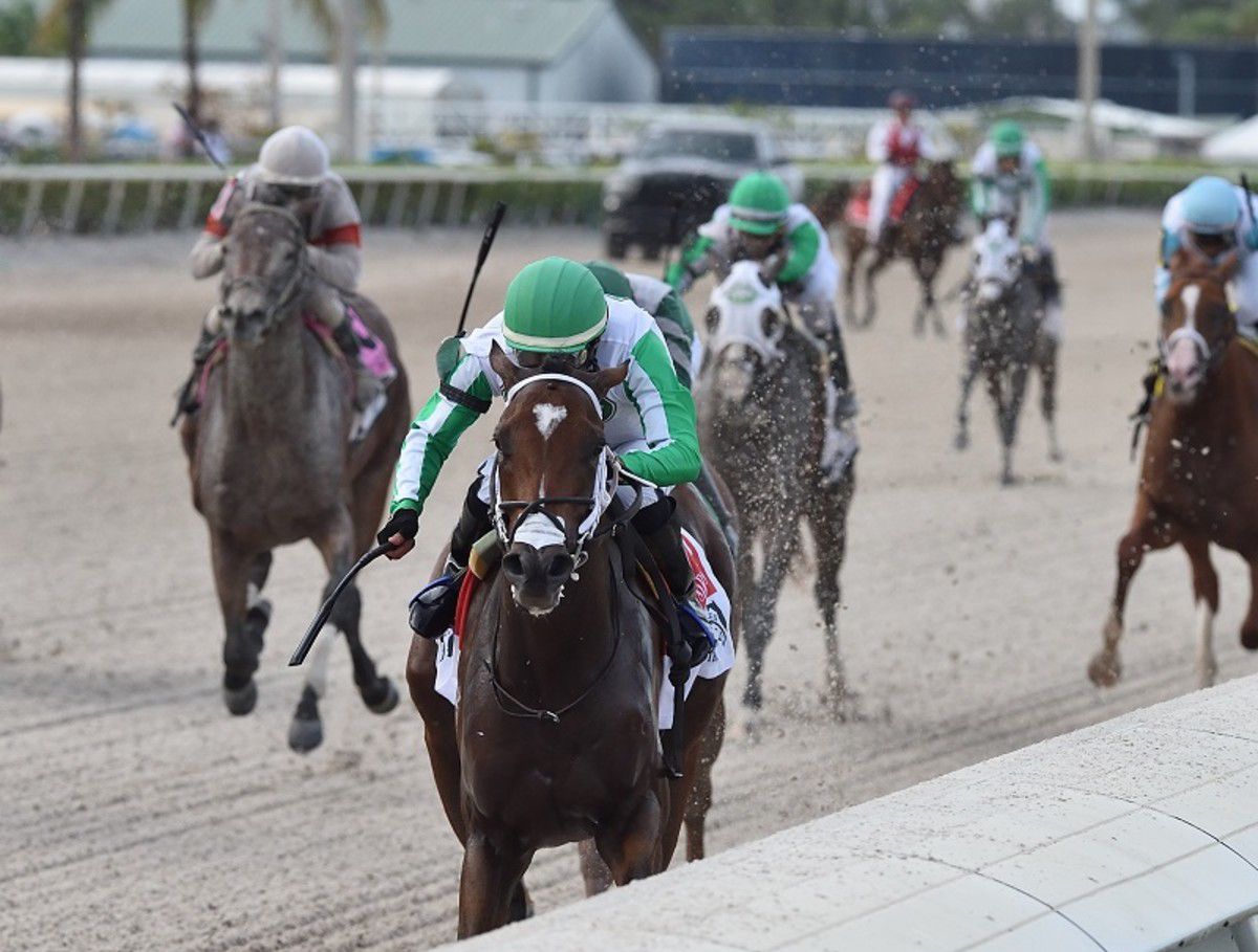 Octane versus Shaq Diesel, favoritos en el Big Drama Stakes